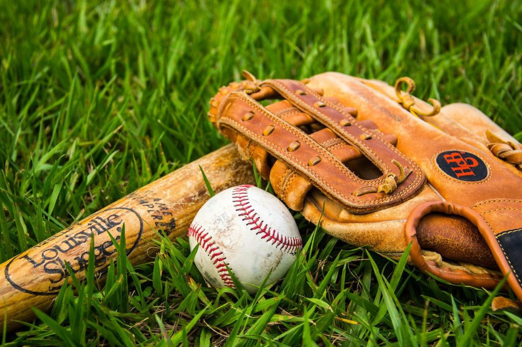 Understanding the Game: The Basics of Baseball
